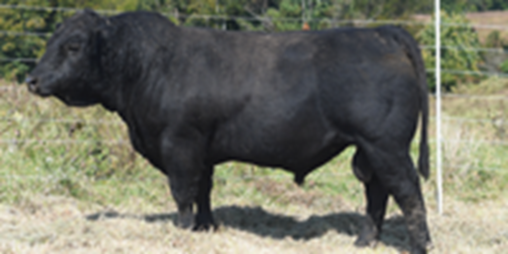 Listings Cattle Range