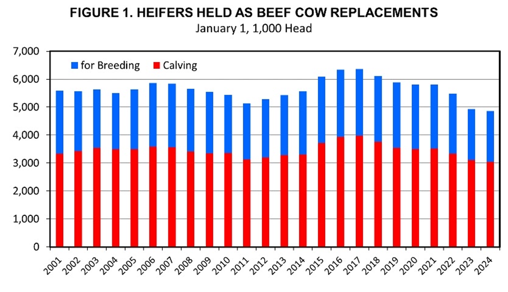 ‘Planned’ and ‘Impulse’ Heifer Breeding Cattle Range