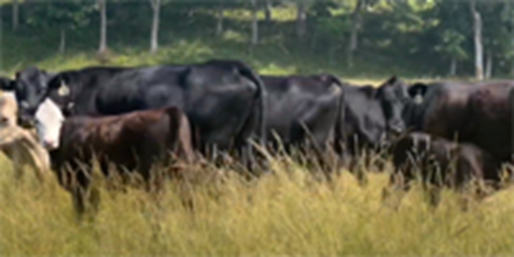 Listings Cattle Range