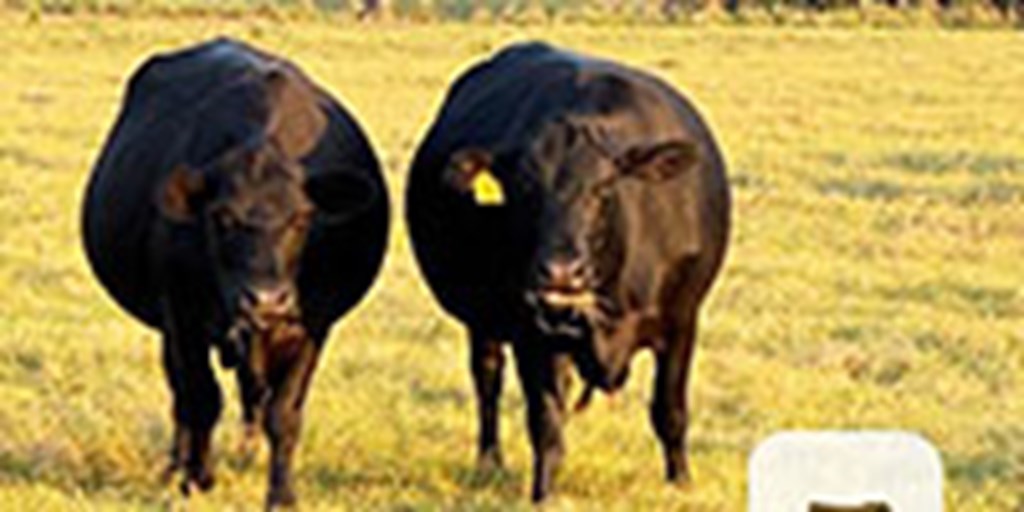 Listings Cattle Range