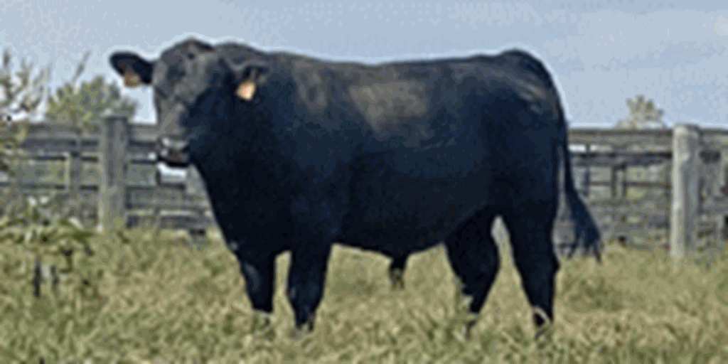 Listings Cattle Range