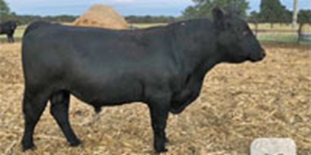 Listings Cattle Range