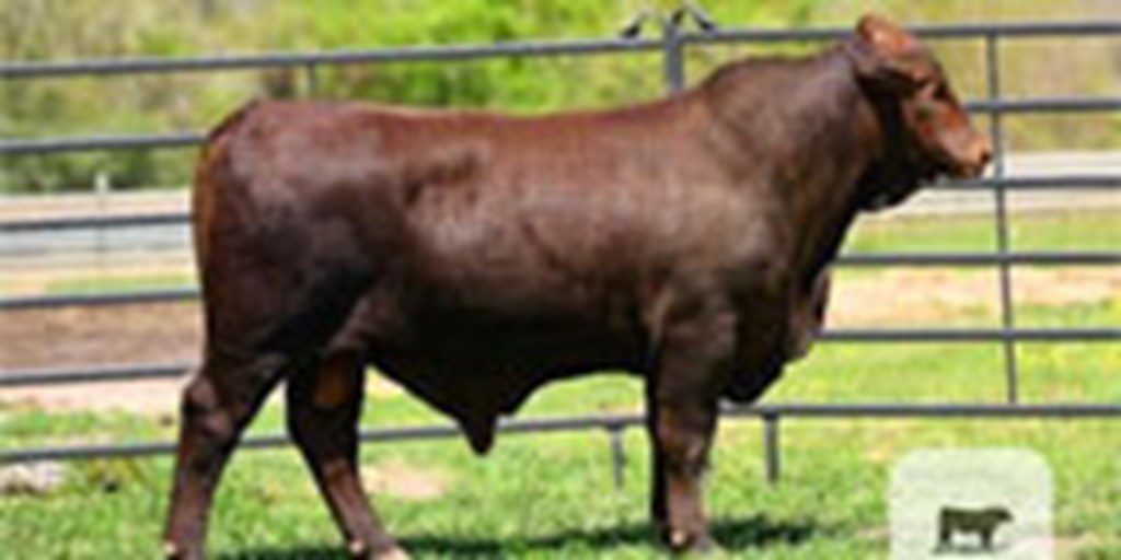 Listings Cattle Range