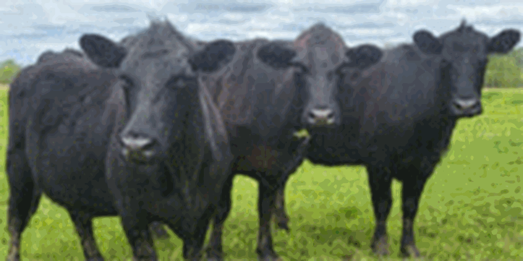 Listings Cattle Range