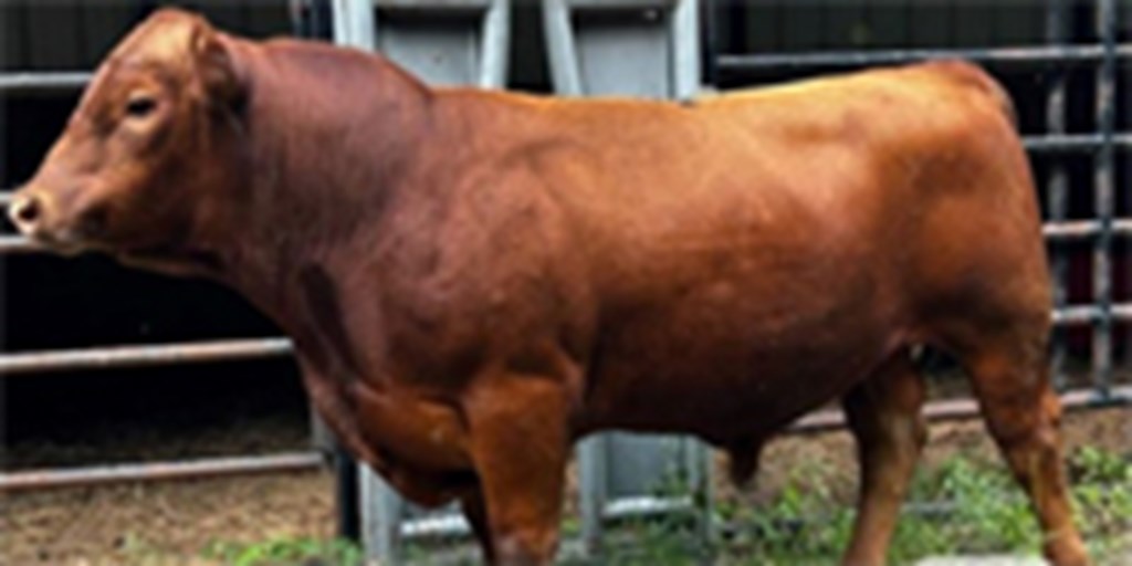 Listings Cattle Range