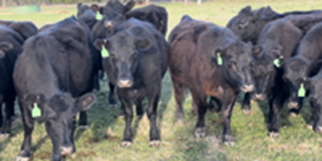 Listings Cattle Range