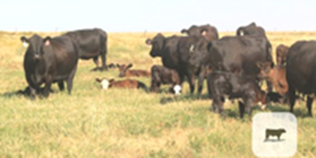 Listings Cattle Range