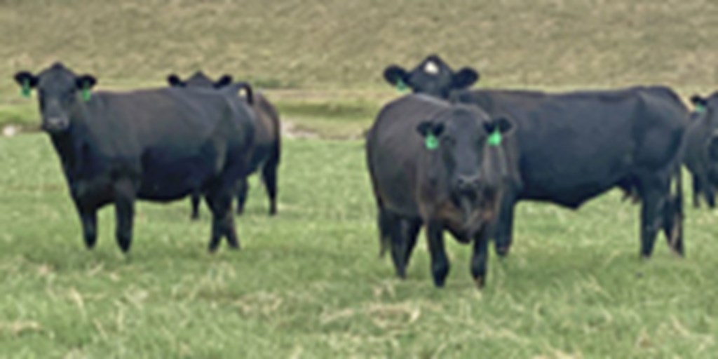 Listings Cattle Range