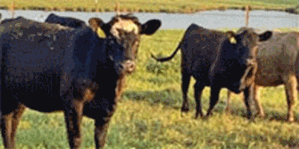 Listings Cattle Range