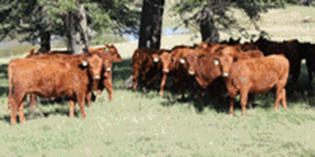 Listings Cattle Range