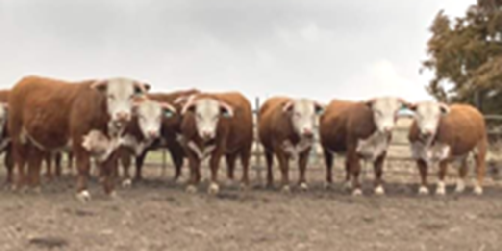 Listings Cattle Range