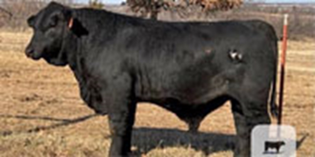 Listings Cattle Range