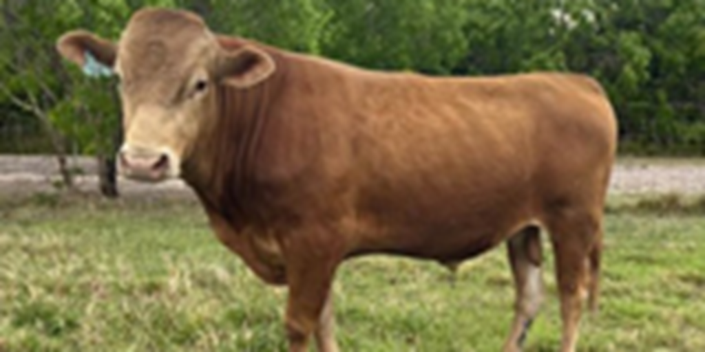 Listings Cattle Range