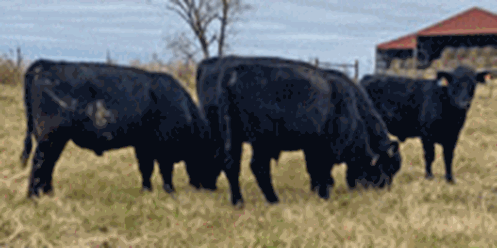 Listings Cattle Range
