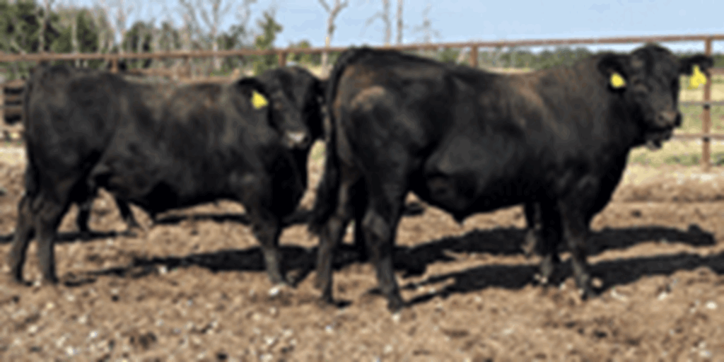 Listings Cattle Range