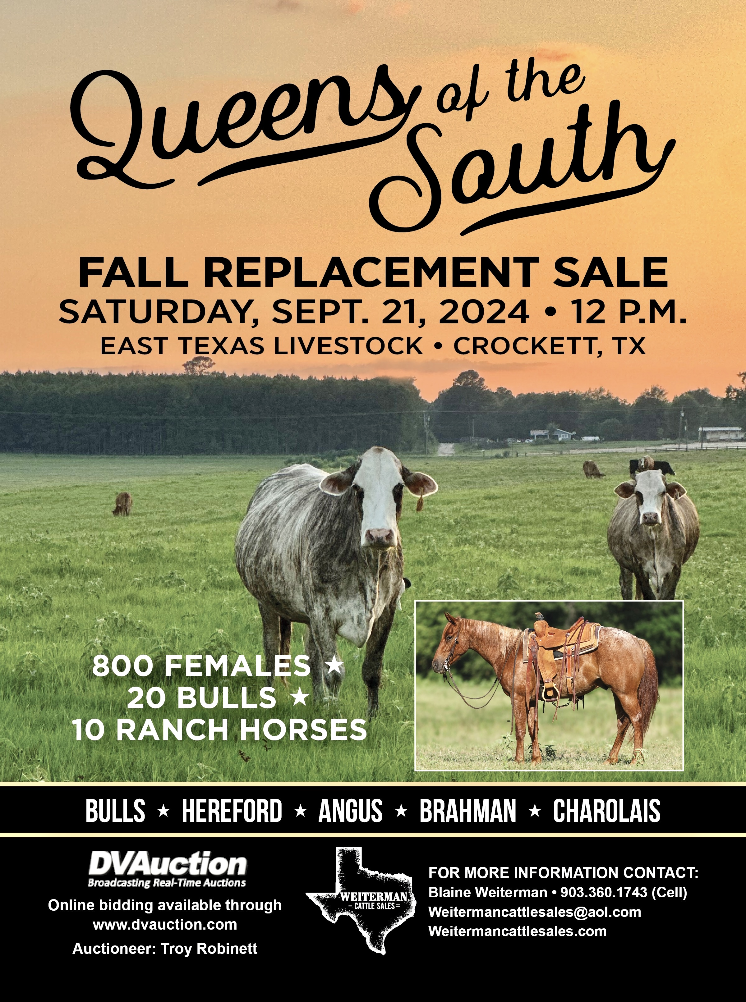 Cattle Range Home Cattle Range