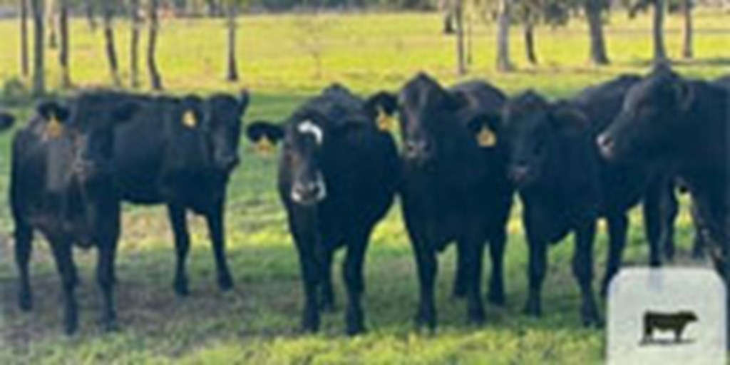 Listings Cattle Range