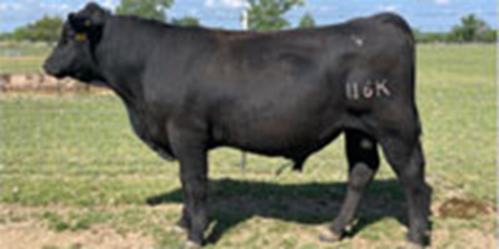 Listings Cattle Range