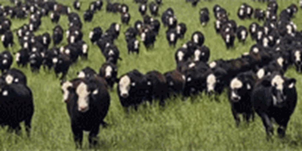 Listings Cattle Range