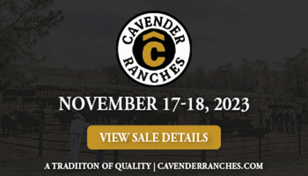 Cattle Range Home Cattle Range