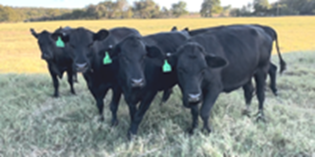 Listings Cattle Range