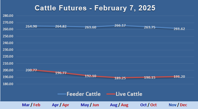 Cattle Futures’ Long-Term Market Outlook Cattle Range