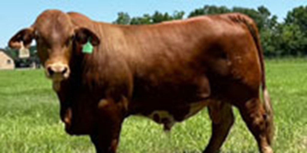 Listings Cattle Range