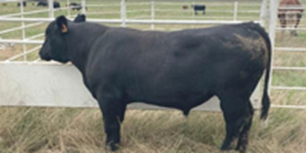 Listings Cattle Range