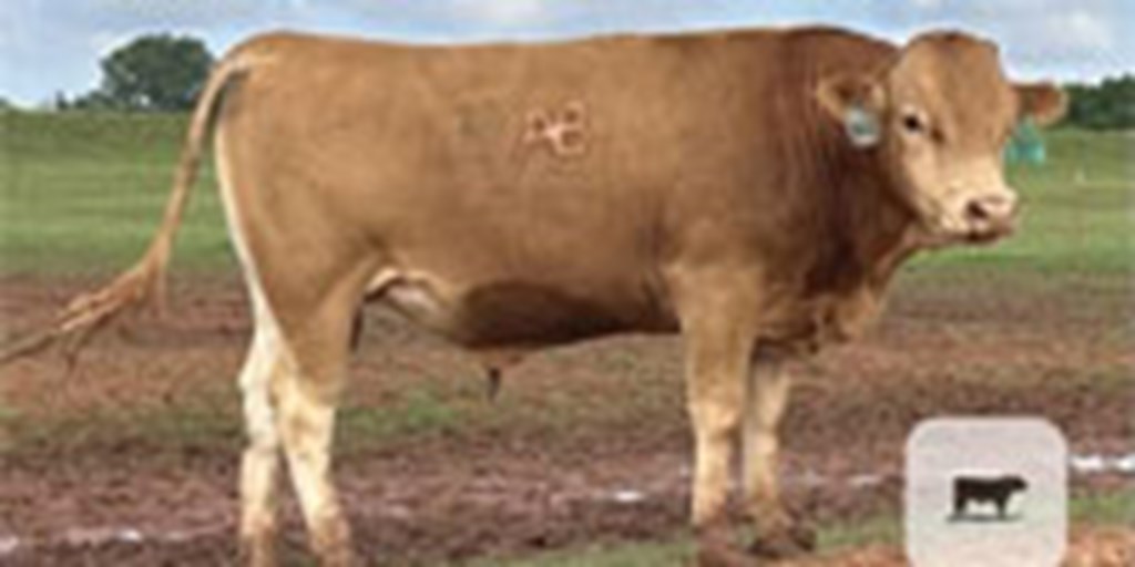 Listings Cattle Range