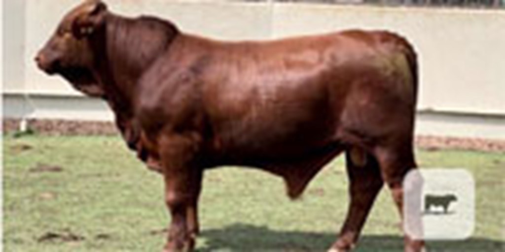 Listings Cattle Range