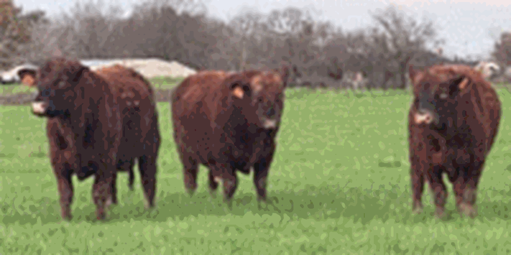 Listings Cattle Range