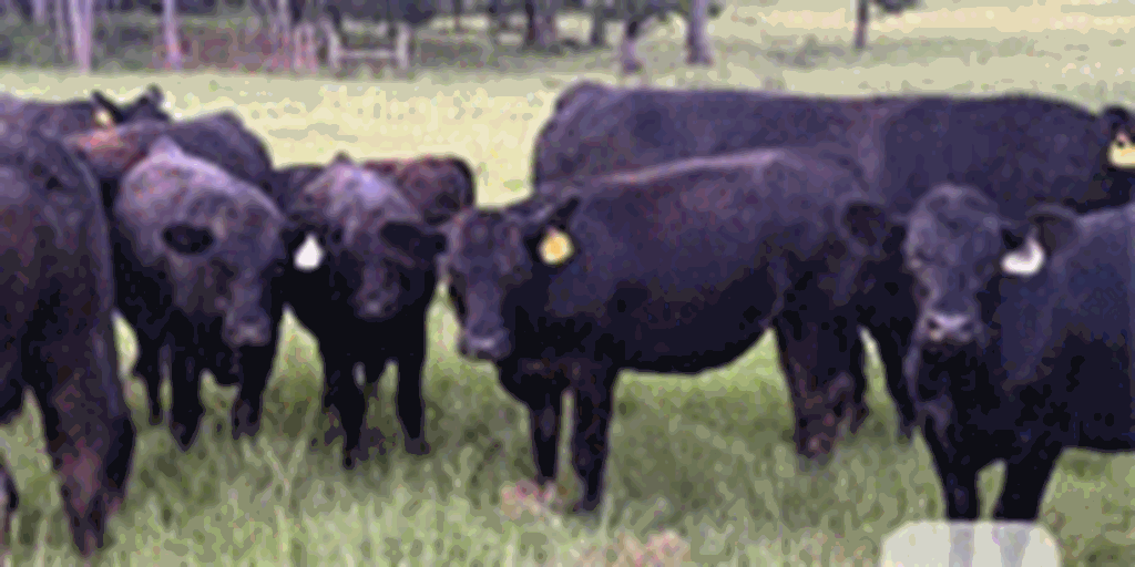 Listings Cattle Range