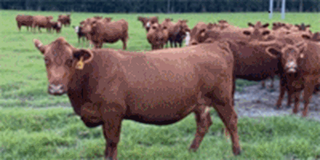 Listings Cattle Range