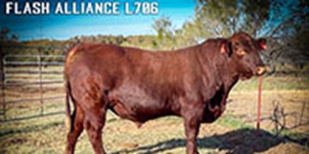 Listings Cattle Range