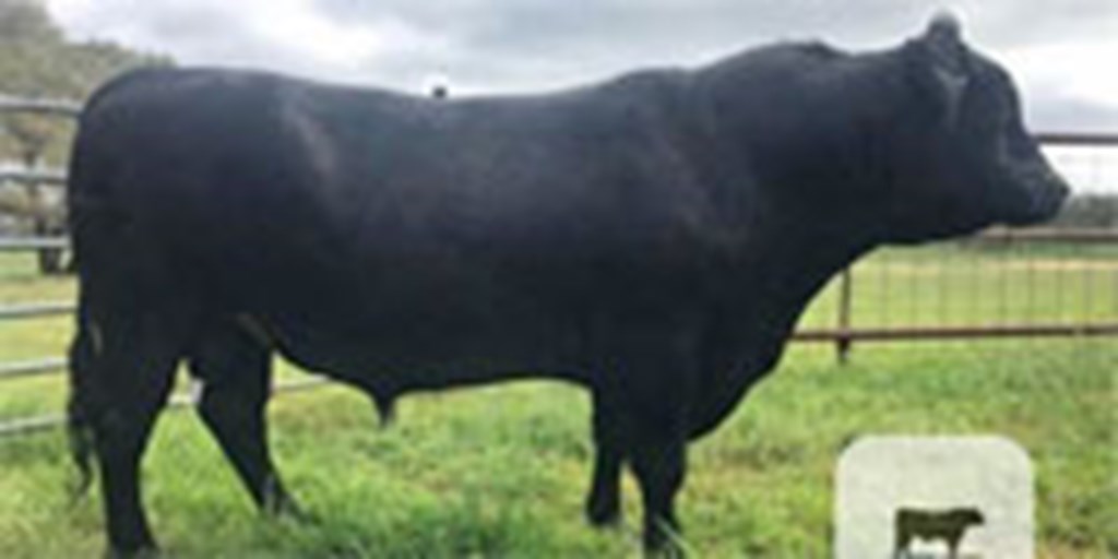 Listings Cattle Range