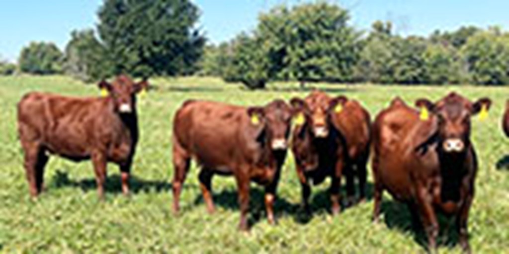 Listings Cattle Range
