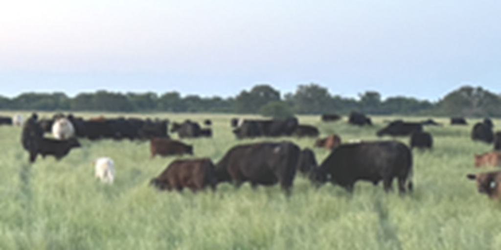Listings Cattle Range