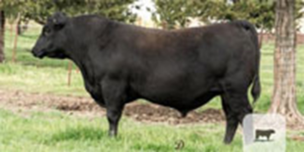 Listings Cattle Range