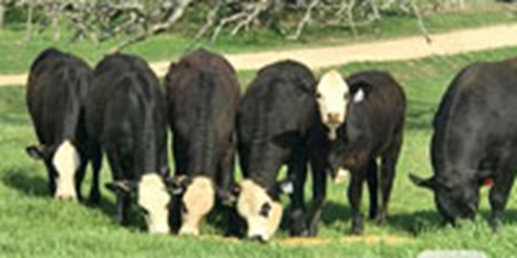 Listings Cattle Range