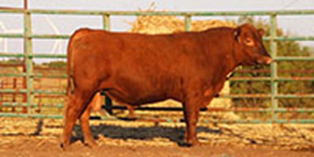Listings Cattle Range