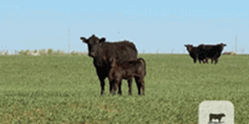 Listings Cattle Range