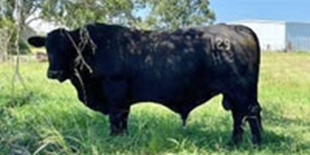 Listings Cattle Range