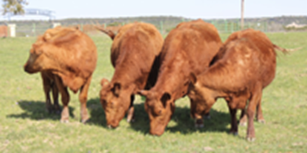 Listings Cattle Range