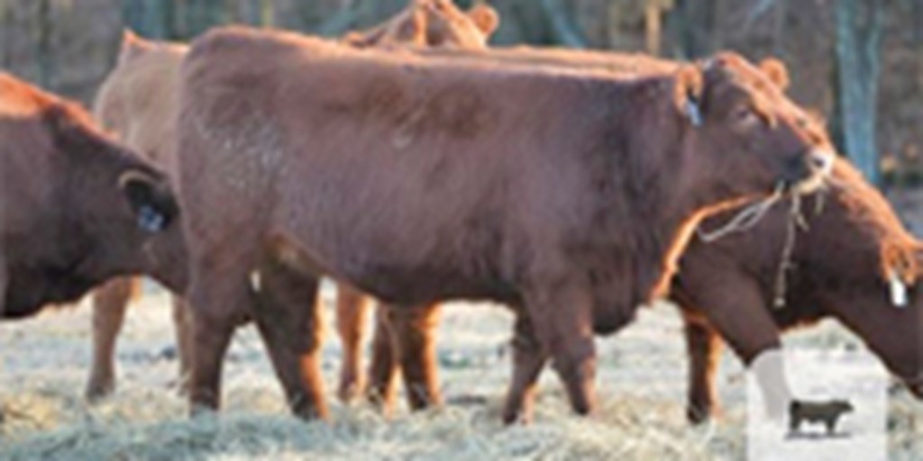 Listings Cattle Range