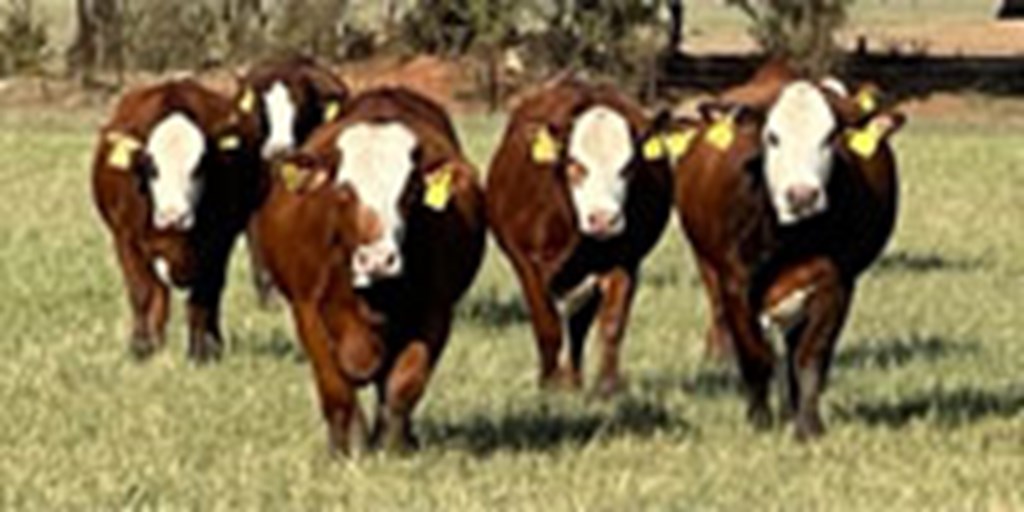 Listings Cattle Range