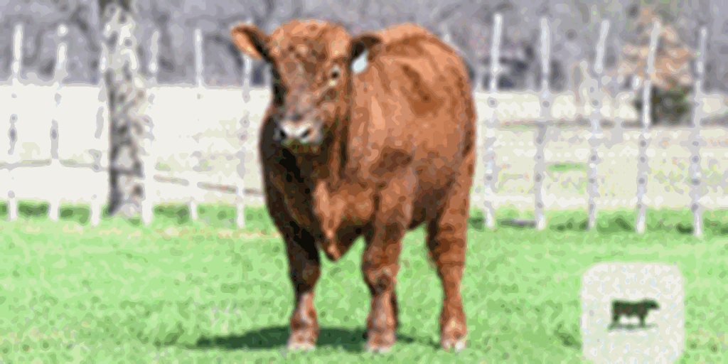 Listings Cattle Range