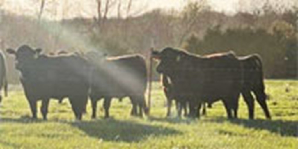 Listings Cattle Range