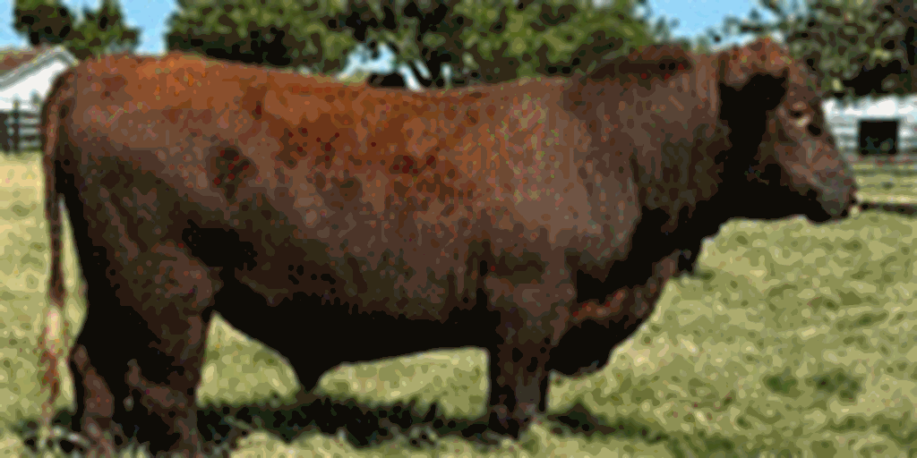 Listings Cattle Range
