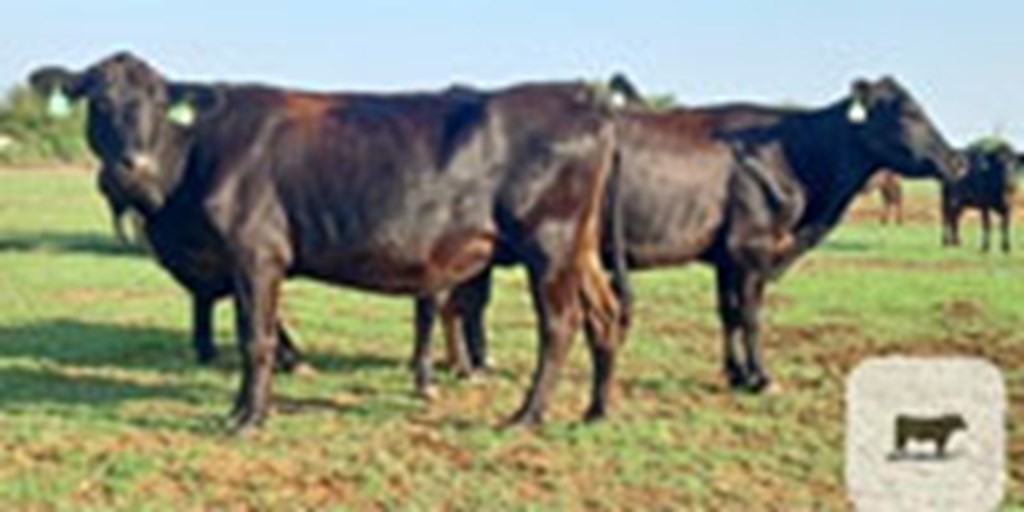Listings Cattle Range