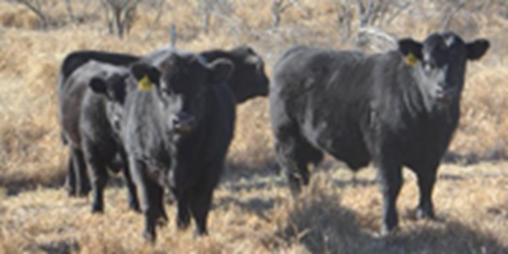 Listings Cattle Range